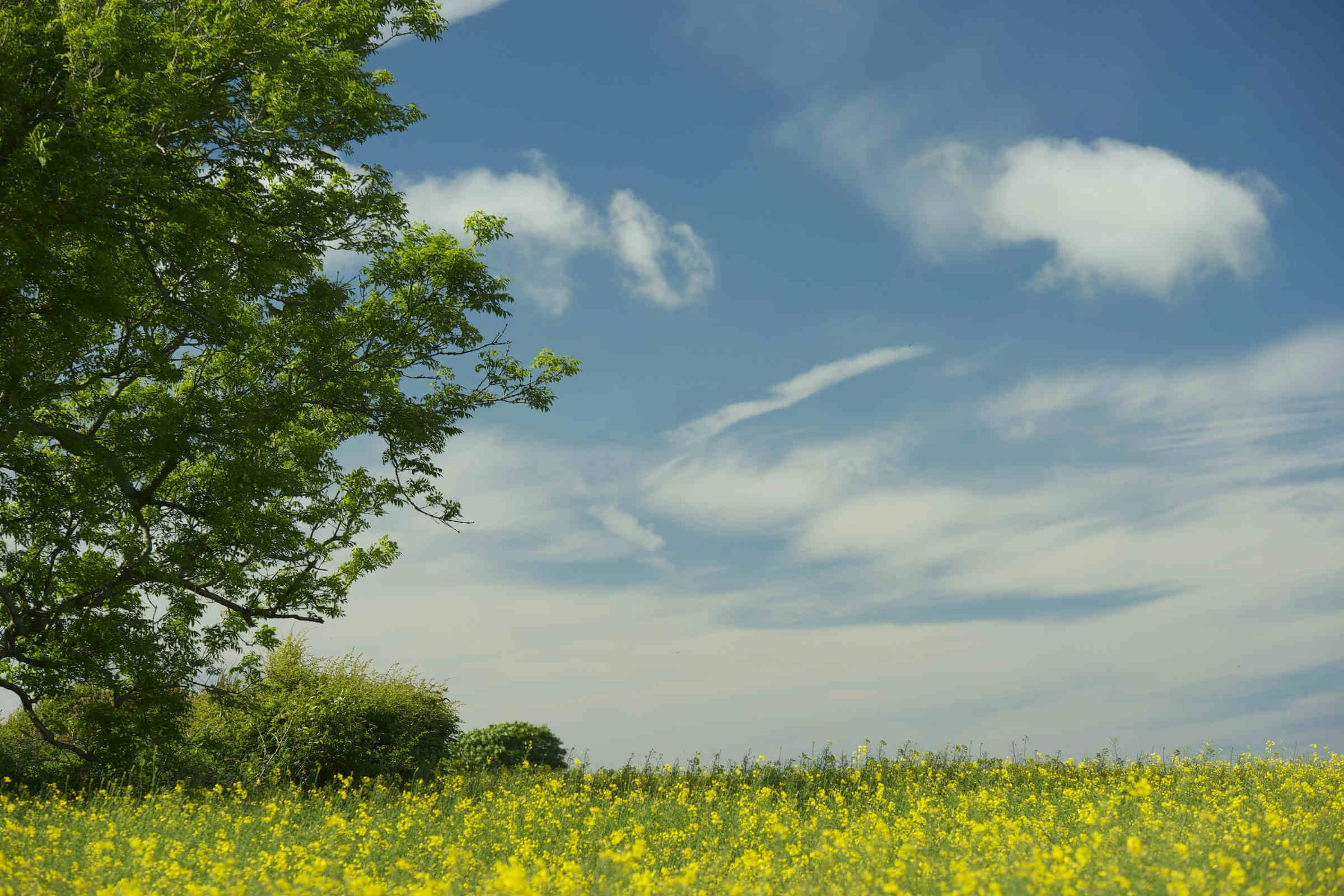 Photos of The Pembrokeshire Landsker | Asheston Eco Barns Blog